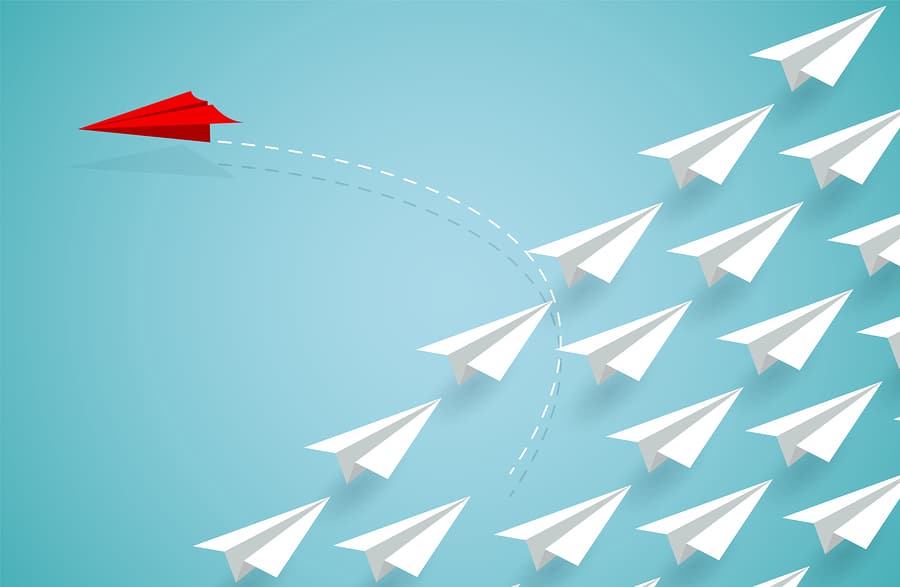 Updates on Ting's Plans